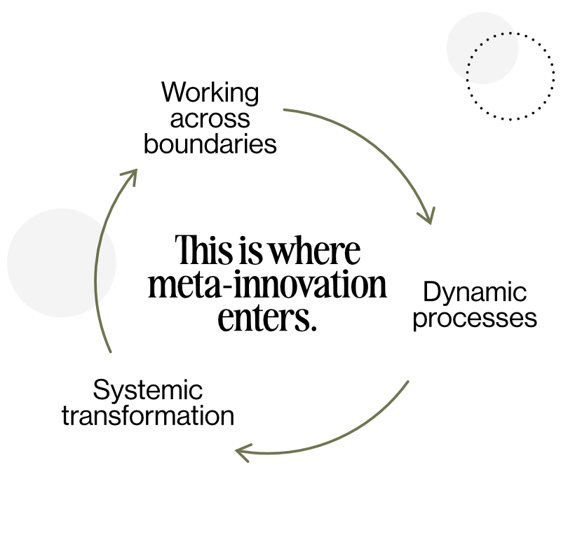Meta-Innovation: A New Way to Innovate